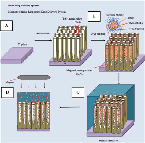 Titanium Dioxide Nanotube Arrays For Biomedical Implant Materials And Nanomedicine Applications