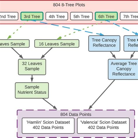 Workflow Of The Development Of The Estimation Model For Nutrient
