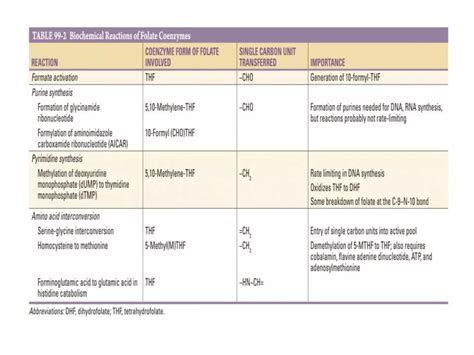 Folic Acid Deficiencypptx