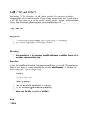 Cell Cycle Lab Report Doc Cell Cycle Lab Report Instructions For This Lab Activity You Will