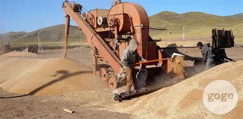 42000 тонн улаан буудай импортлох зөвшөөрлийг цуцалжээ