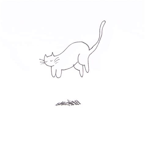 Cat Floating  By Hoppip Find And Share On Giphy
