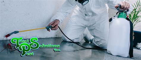 Pest Control Vs Exterminators Welcome To Total Pest Solutions Inc