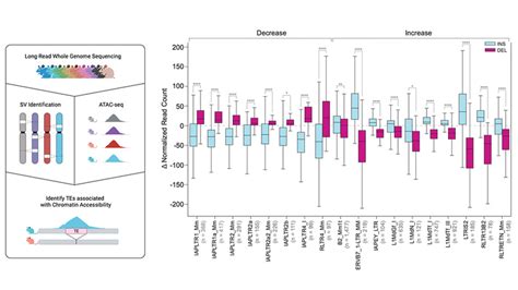 Resolving Genetic Diversity In Mouse Strains