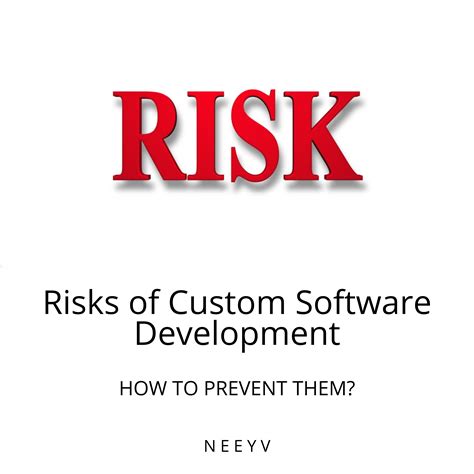 risks of custom software development neeyv