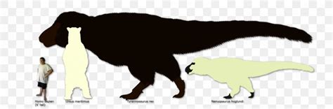 Cat Nanuqsaurus Polar Bear Tyrannosaurus Dog Png 2778x920px Cat