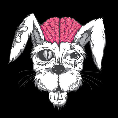 Hare Brain Concert And Tour History Concert Archives