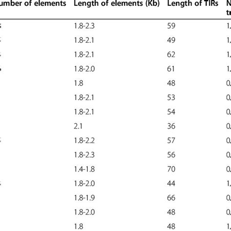 basic structure of tc1 mariner elements and mites found in the s