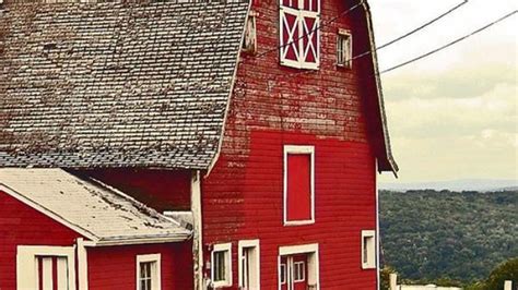 Erkek Cinsel Organ Hakk Nda Birbirinden Lgin Mahmure