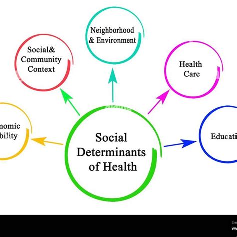 Chart Showing The Social Determinants Of Health Source Download