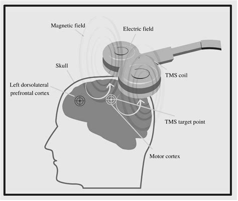 Rtms Dr Anand Choudhary