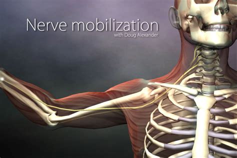 Nerve Mobilization For The Arm Dvd Video Real Bodywork