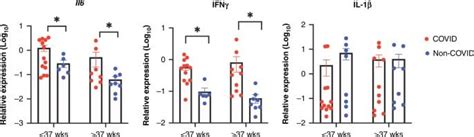 Sars Cov 2 Detected In Neonatal Stool Remote From Maternal Covid 19