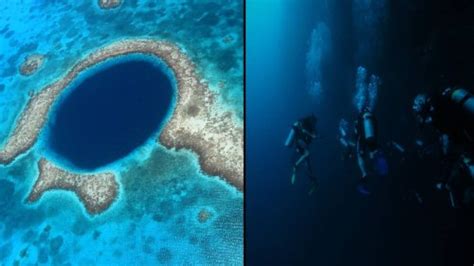 Divers Make Disturbing Discovery After Finally Reaching Bottom Of Great