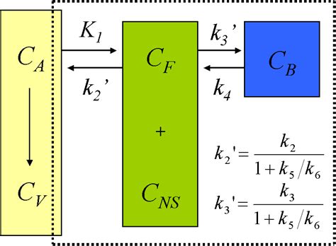 Tpc Compartmental Models In Positron Emission Tomography