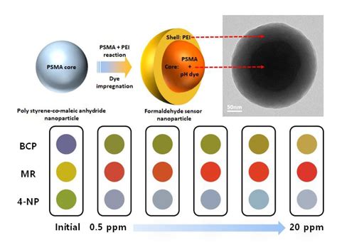 Polymers Free Full Text Colorimetric Visualization Using Polymeric Coreshell Nanoparticles