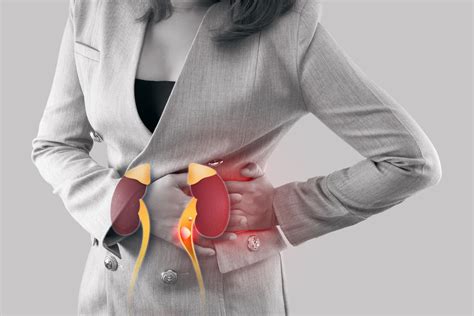 Comprendre les calculs rénaux causes symptômes et traitements La