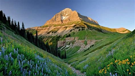 Best Hikes In Utah Top 10 Trails You Must Explore In 2025