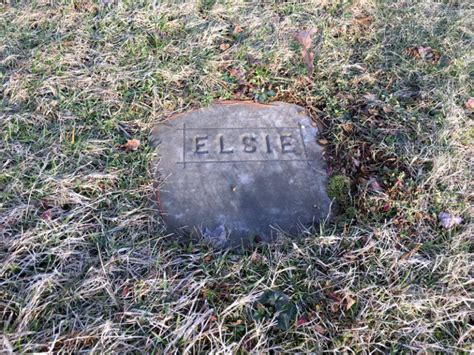 Podcast 35 The Ghost Of Elsie New England Legends