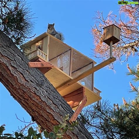 Mark Rober Gethu Cinema