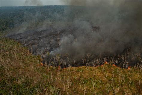 Amazon Deforestation Linked To Reduced Tibetan Snows Antarctic Ice