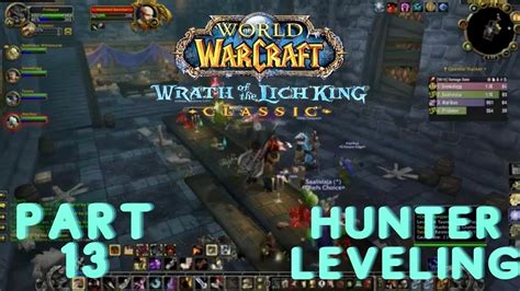Lets Play World Of Warcraft Wotlk Hunter Part 13 Chill Youtube