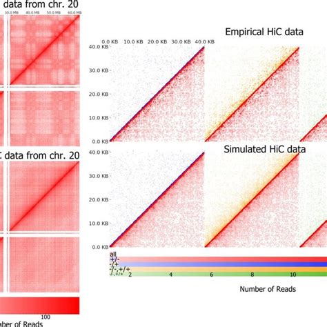 Simulated Hic Reads Have The Same Distribution Of Counts As The Real