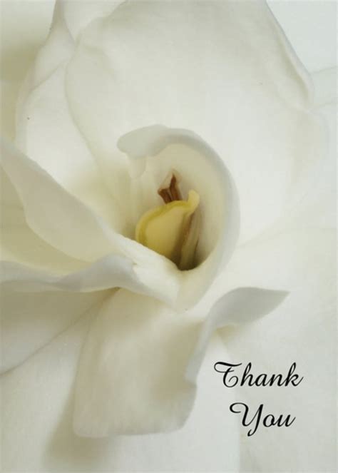 Sympathy Thank You Card Template Creative Design Templates