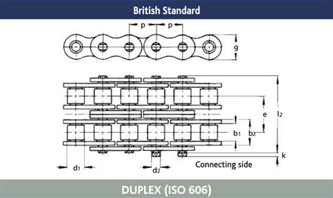 Duplex Roller Chains Iso 606 Transdev