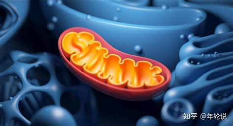 Nad下降有什么影响？nad的作用是什么？ 知乎