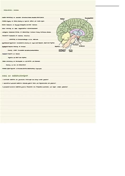 Zusammenfassung Lernzettel Neurobiologie Erweiterung und Ökologie Biologie Stuvia DE