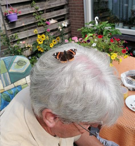 Leiden Open Variation Database Lovd