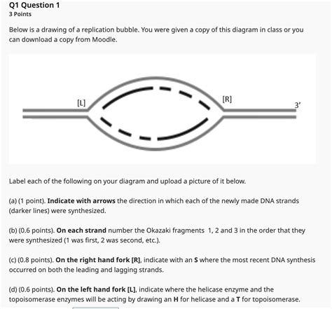 Solved Label Each Of The Following