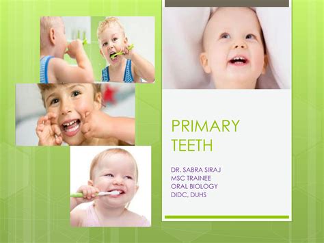 Solution Primary Teeth Posteriors Studypool