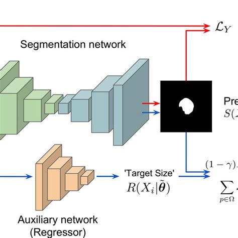 Illustration Of Our Curriculum Semi Supervised Segmentation Strategy