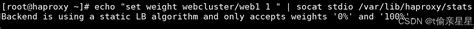 Haproxy最强攻略haproxy配置tcp转发 Csdn博客