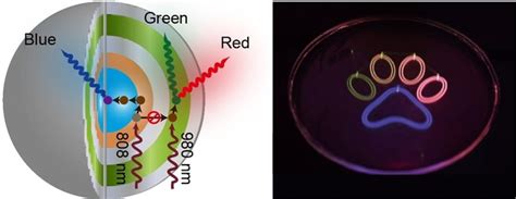Orthogonal Trichromatic Upconversion With High Color Purity In Core‐shell Nanoparticles For A