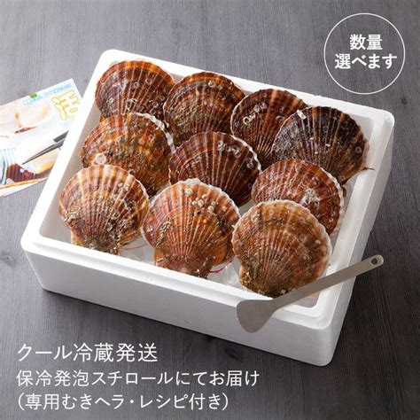 【活ホタテ】本当のホタテの味を堪能しました ｜口コミ・レビュー｜山内鮮魚店
