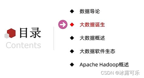 大数据诞生大数据概述大数据软件生态Apache Hadoop概述