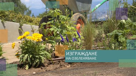 Озеленяване и дизайн на градини гр София Ти Ейч Консултинг