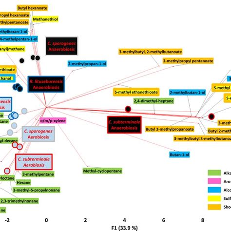 Biplot Of The Principal Component Analysis Showing Associations Between