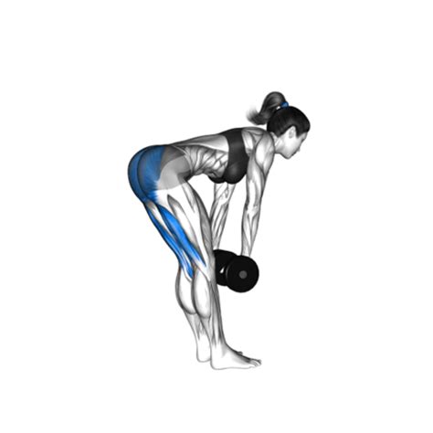 Dumbbell Stiff Leg Deadlift Smash Your Limit Burnfit