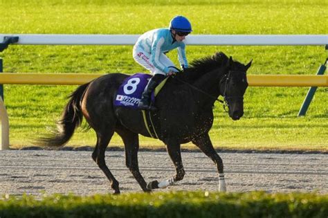 3冠牝馬デアリングタクト、福島県から北海道に移動 サウジ遠征を見送って牧場で調整中 競馬ニュース Netkeiba