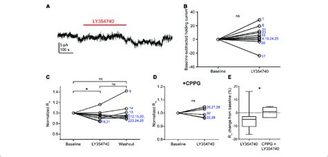 Activation Of Group Ii Mglurs Does Not Lead To Detectable Inward