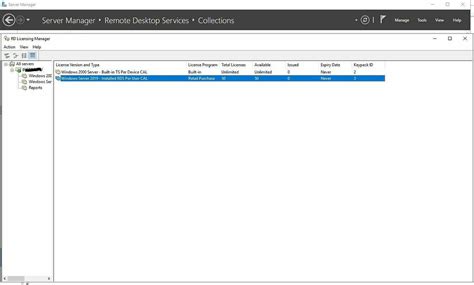 Rds License Server Issue Server 2019 Standard Software And Applications Spiceworks Community