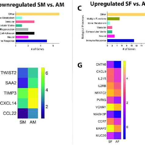Biological Processes And Heat Maps Of Degs From Symptomatic And