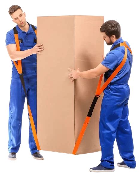 Forearm Forklift Lifting Straps