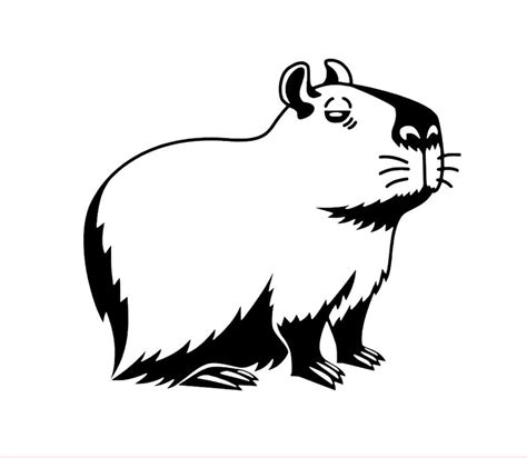 Svg Capybara Digital Download Cutting File Etsy