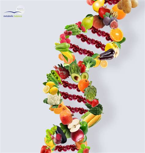 About Metabolic Balance Kimberly Dean — Nurture Point