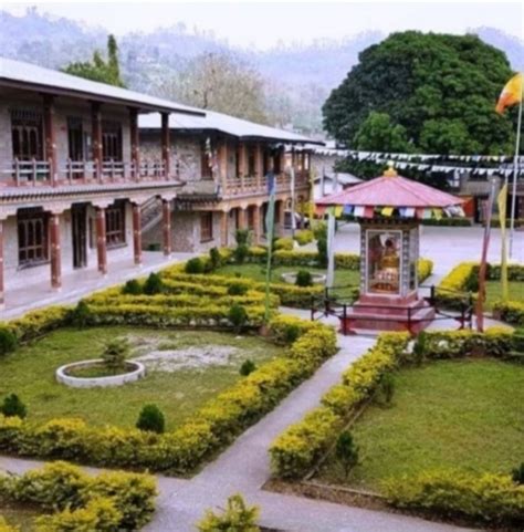 Choining Wangmo Blog